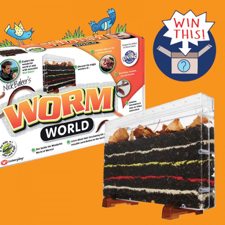 WIN! A Wiggly worm kit🤞🏽 – Whizz Pop Bang Blog