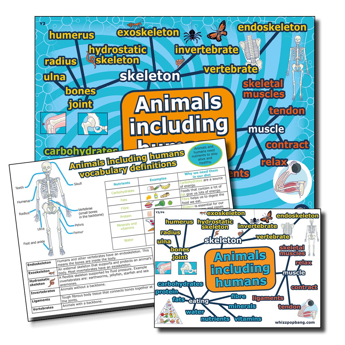 year 3 science lesson – Whizz Pop Bang Blog
