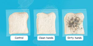 Invisible germs experiment – Whizz Pop Bang Blog