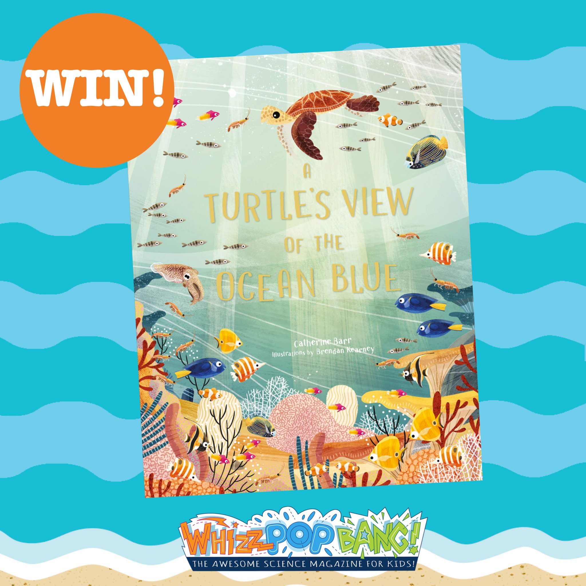 COMPETITION CLOSED: WIN A Turtle’s View of the Ocean Blue book – Whizz ...
