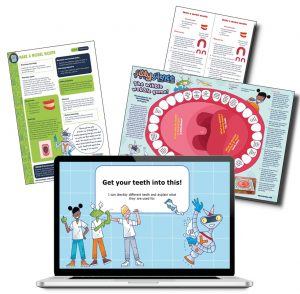 Teaching teeth in year 4 – Whizz Pop Bang Blog