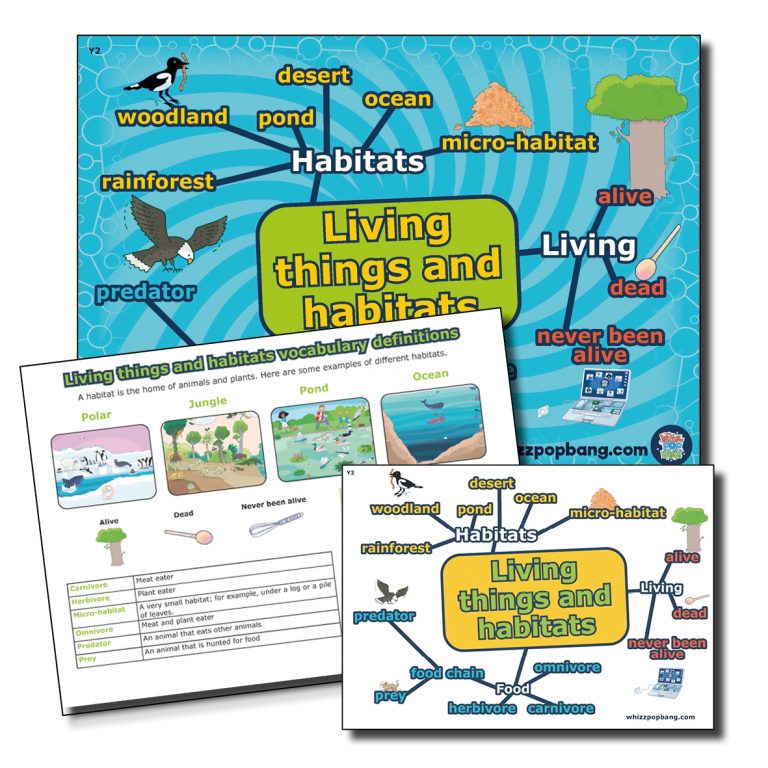 Teaching food chains in Year 4 – Whizz Pop Bang Blog