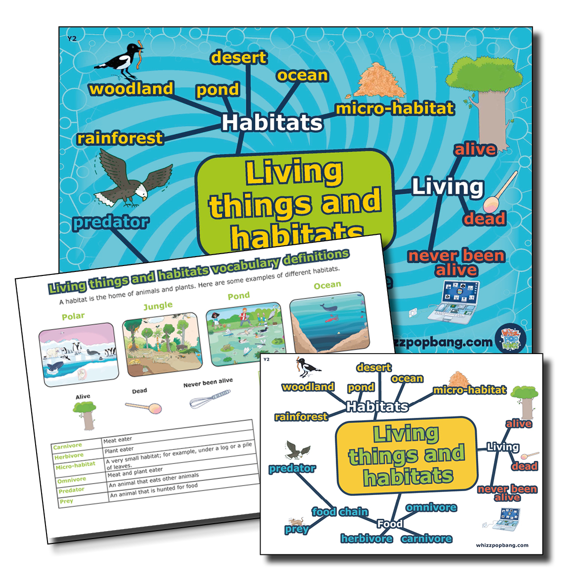 Teaching food chains in Year 4 – Whizz Pop Bang Blog