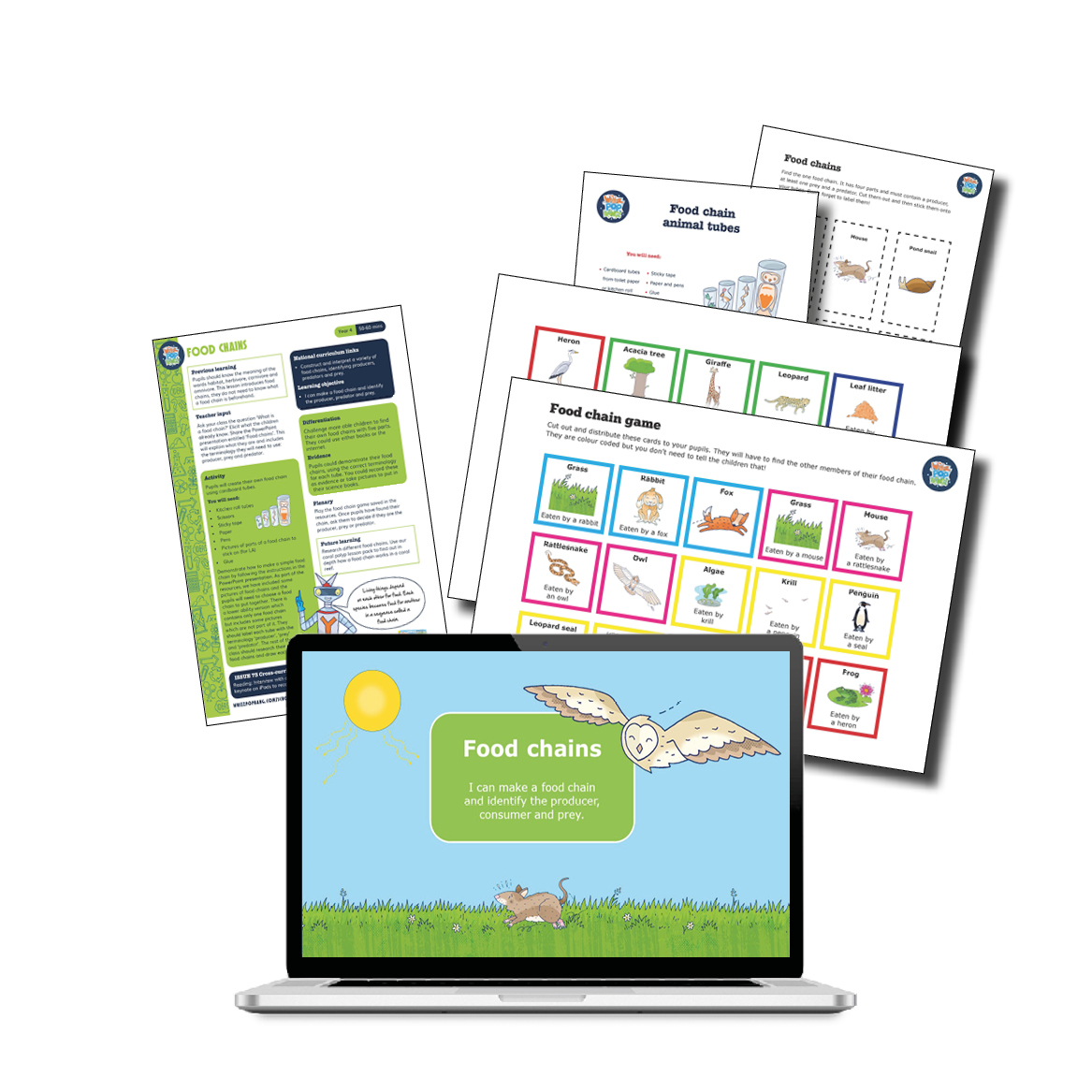Teaching food chains in Year 4 – Whizz Pop Bang Blog
