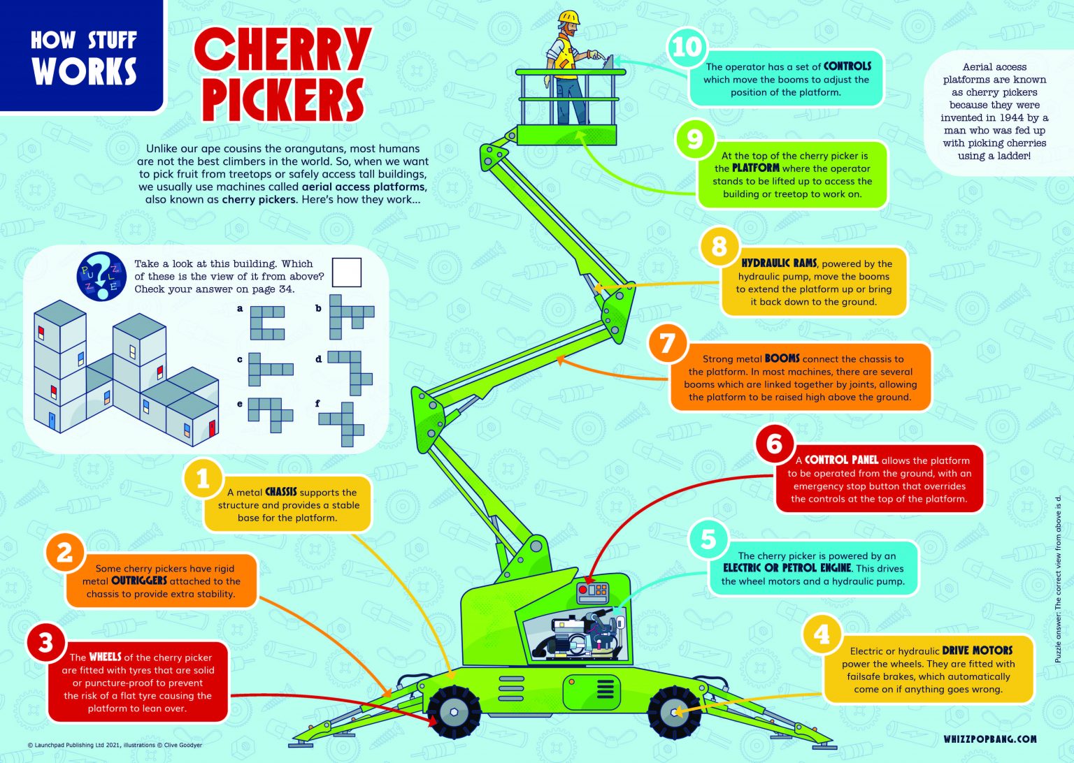 Teaching plants in year 3 – Whizz Pop Bang Blog
