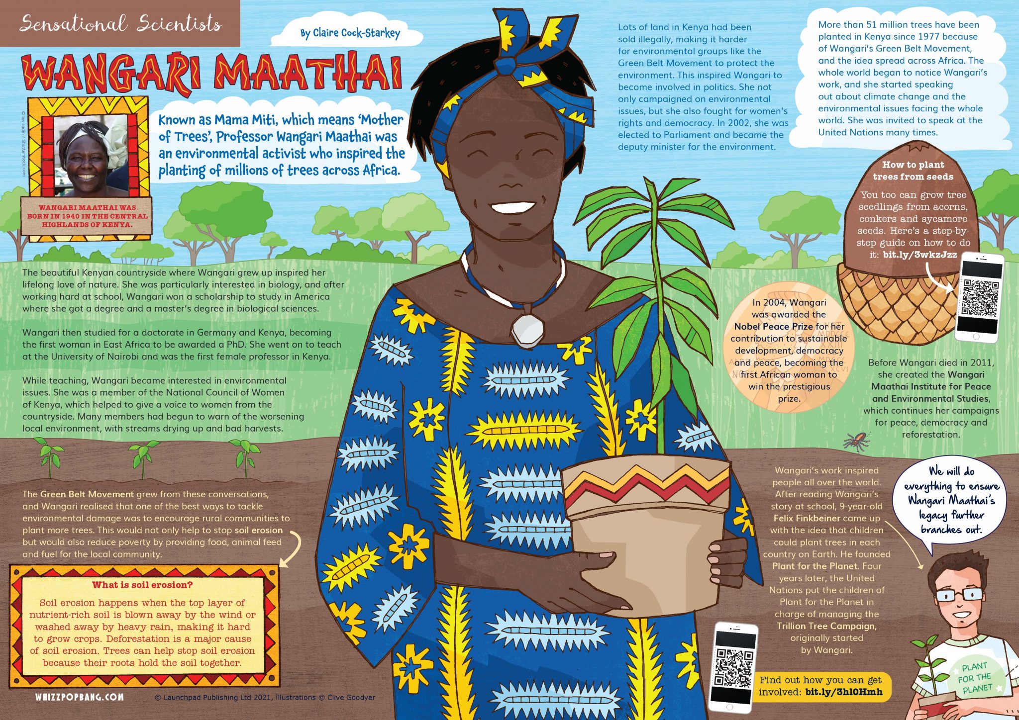 Teaching plants in year 3 – Whizz Pop Bang Blog