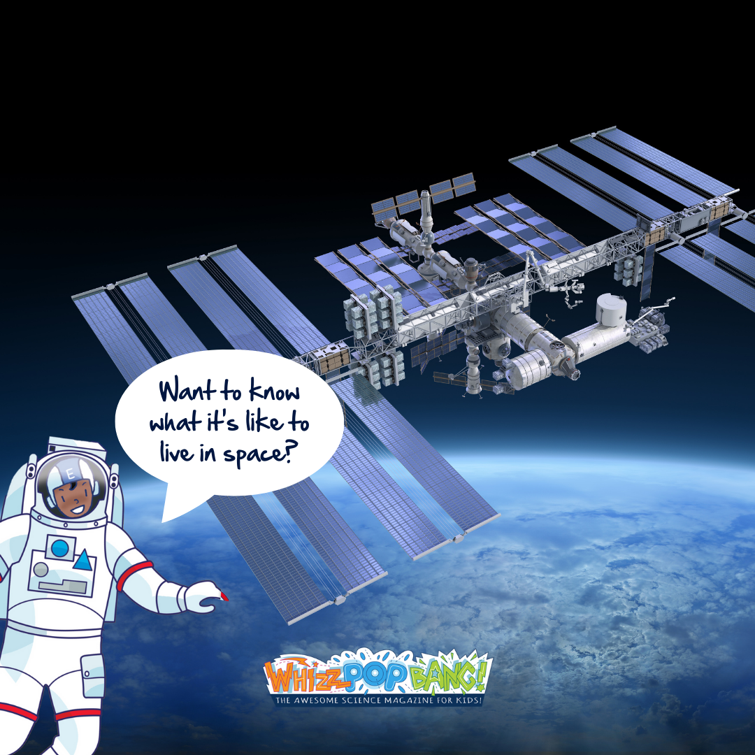 Living in space – Whizz Pop Bang Blog