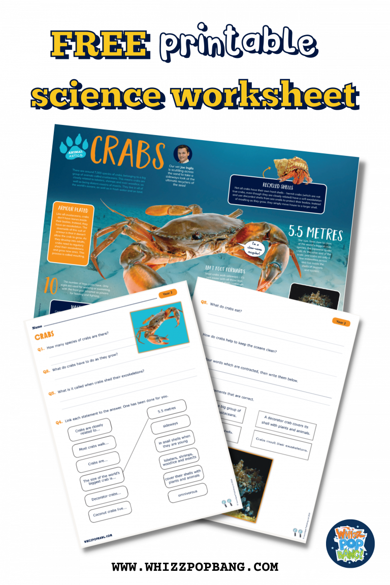 Crabs reading comprehension for Year 2 and P3 – Whizz Pop Bang Blog