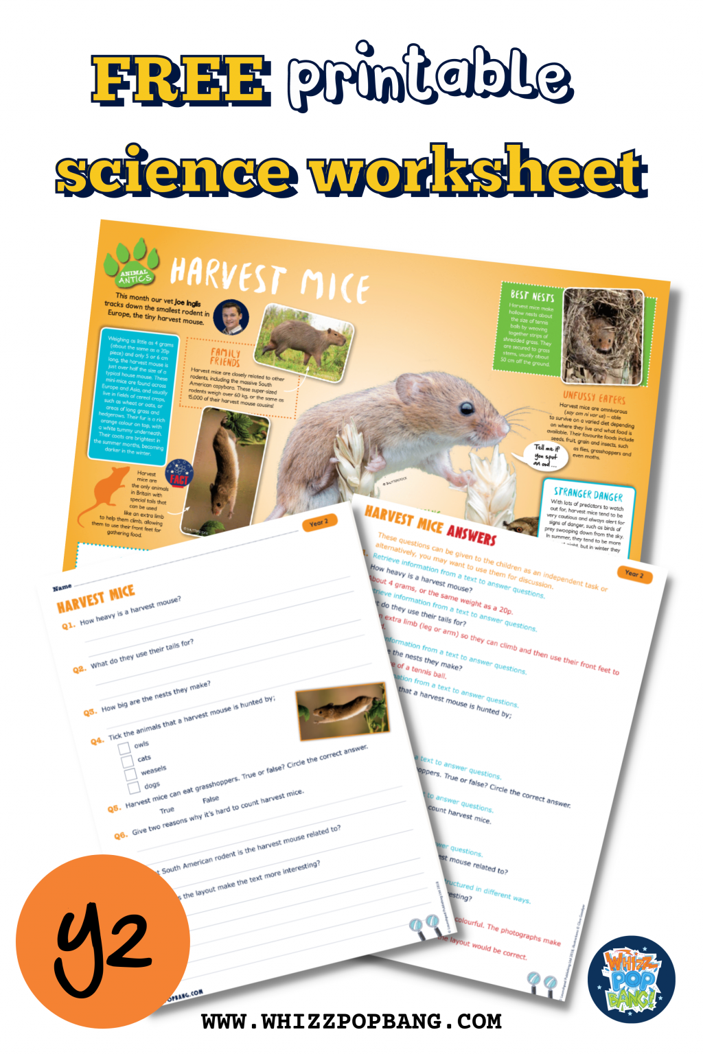 Harvest mice reading comprehension for Year 2 and P3 – Whizz Pop Bang Blog