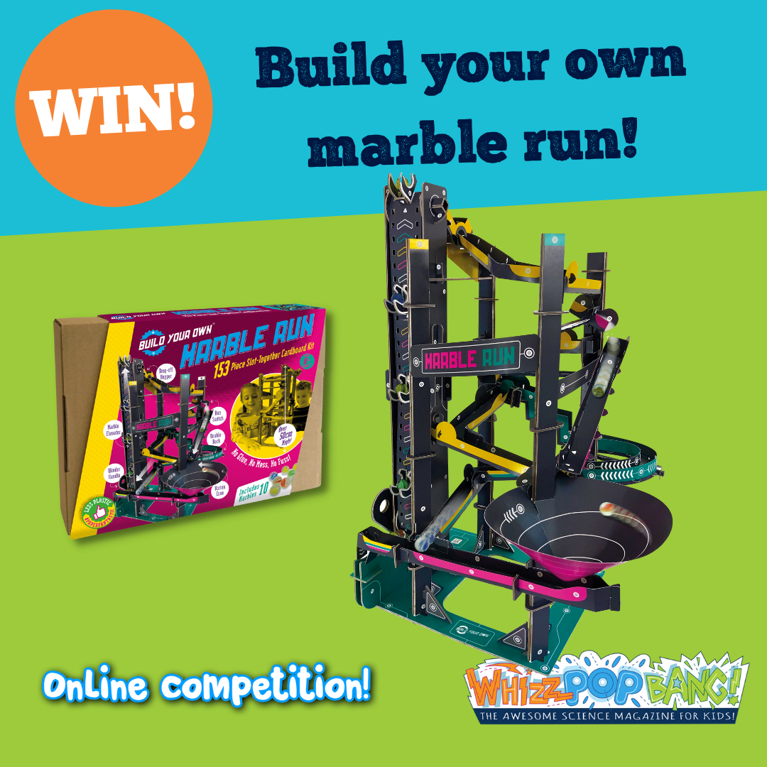 COMPETITION CLOSED: WIN Build Your Own marble run! – Whizz Pop Bang Blog