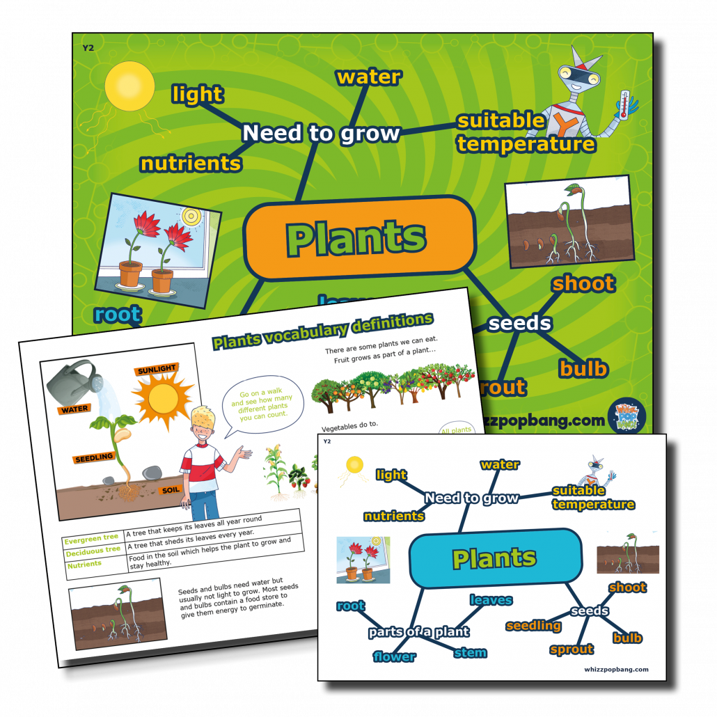 Teaching Plants In Science Whizz Pop Bang Blog Teaching Plants In Science Whizz Pop Bang Blog