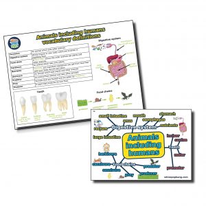 Science knowledge organisers for primary schools – Whizz Pop Bang Blog