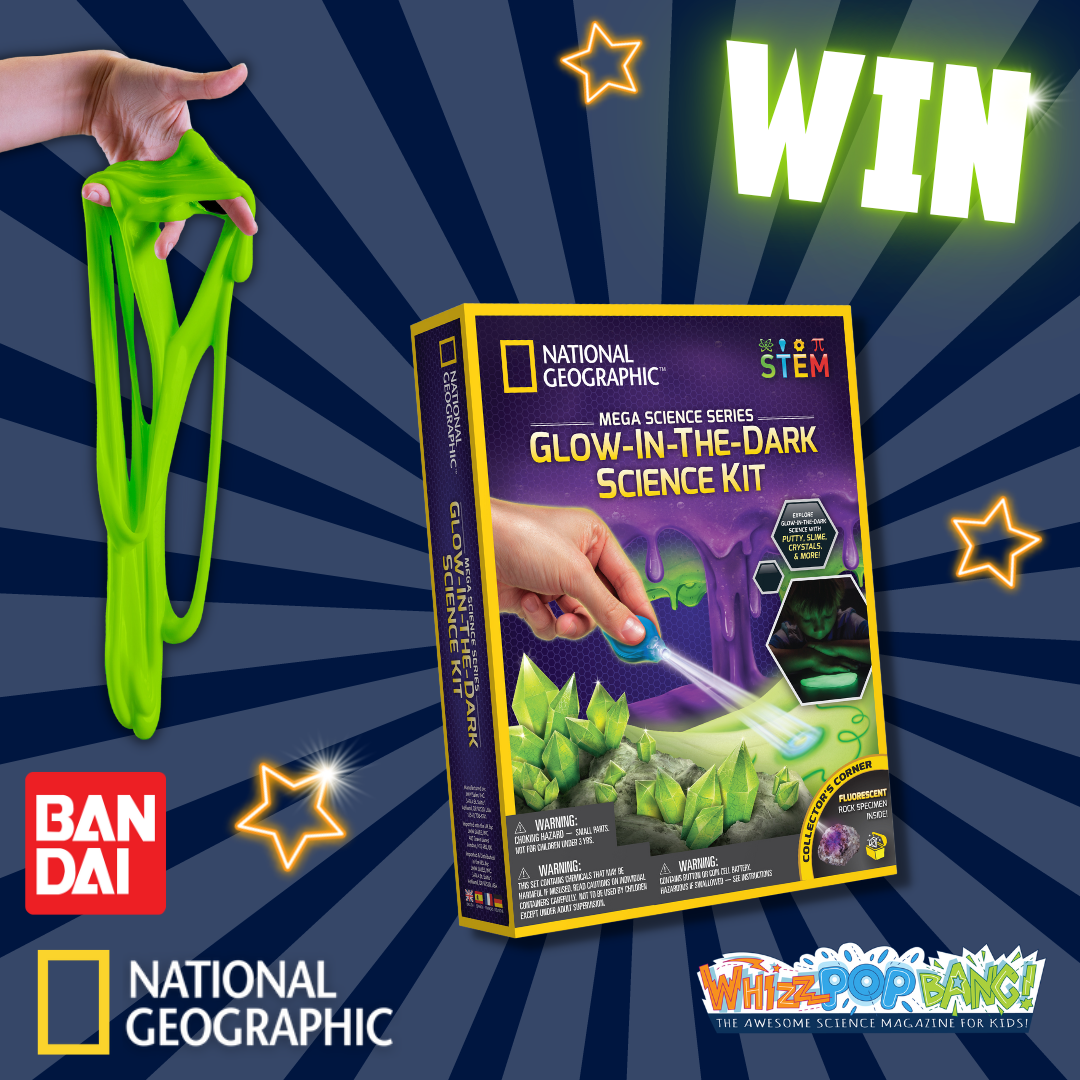COMPETITION CLOSED: WIN a Glow-in-the-Dark Mega Science Kit! – Whizz ...