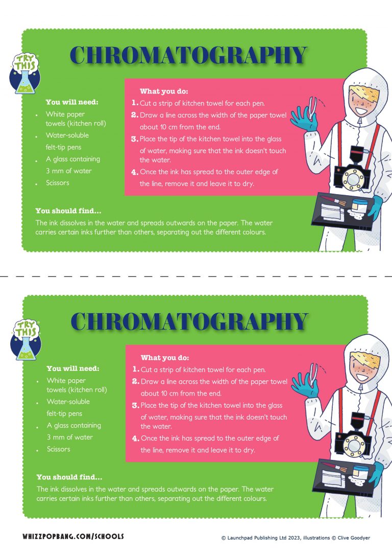 Whole school science day – Whizz Pop Bang Blog