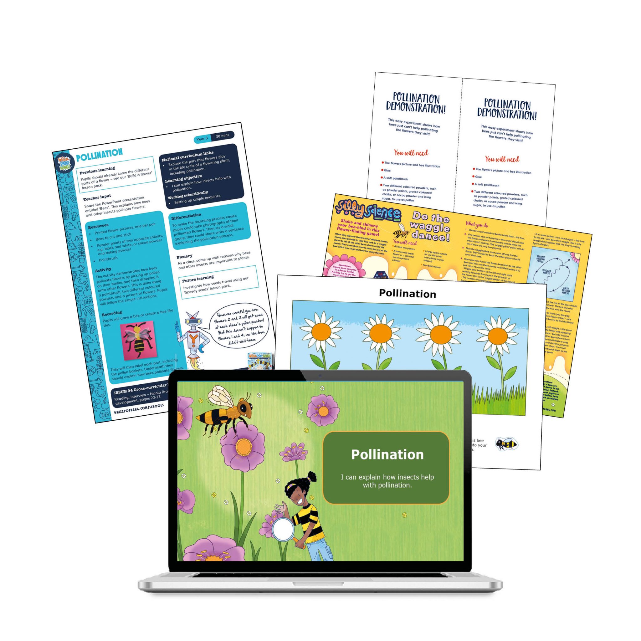 Teaching pollination in year 3 – Whizz Pop Bang Blog