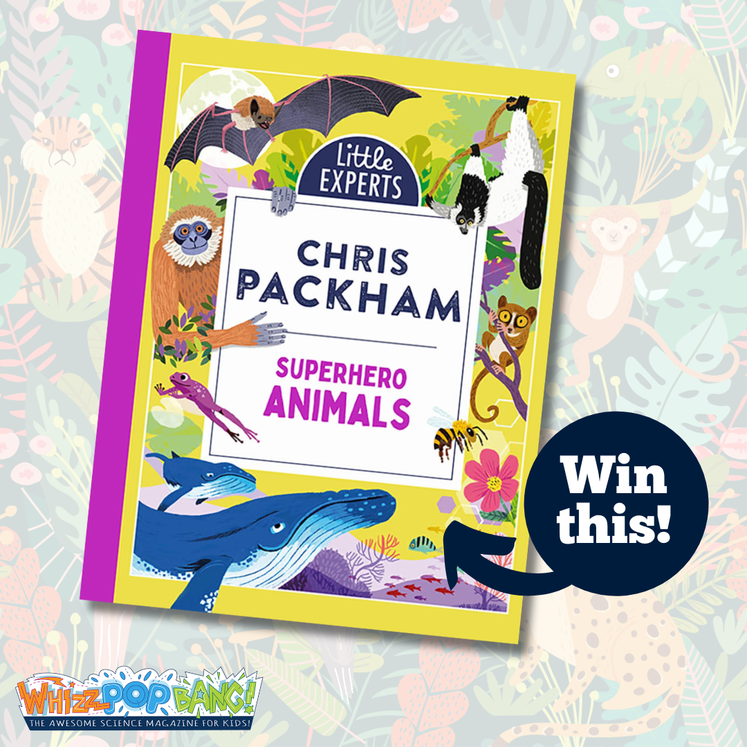 WIN Chris Packham’s new book – Superhero Animals! – Whizz Pop Bang Blog