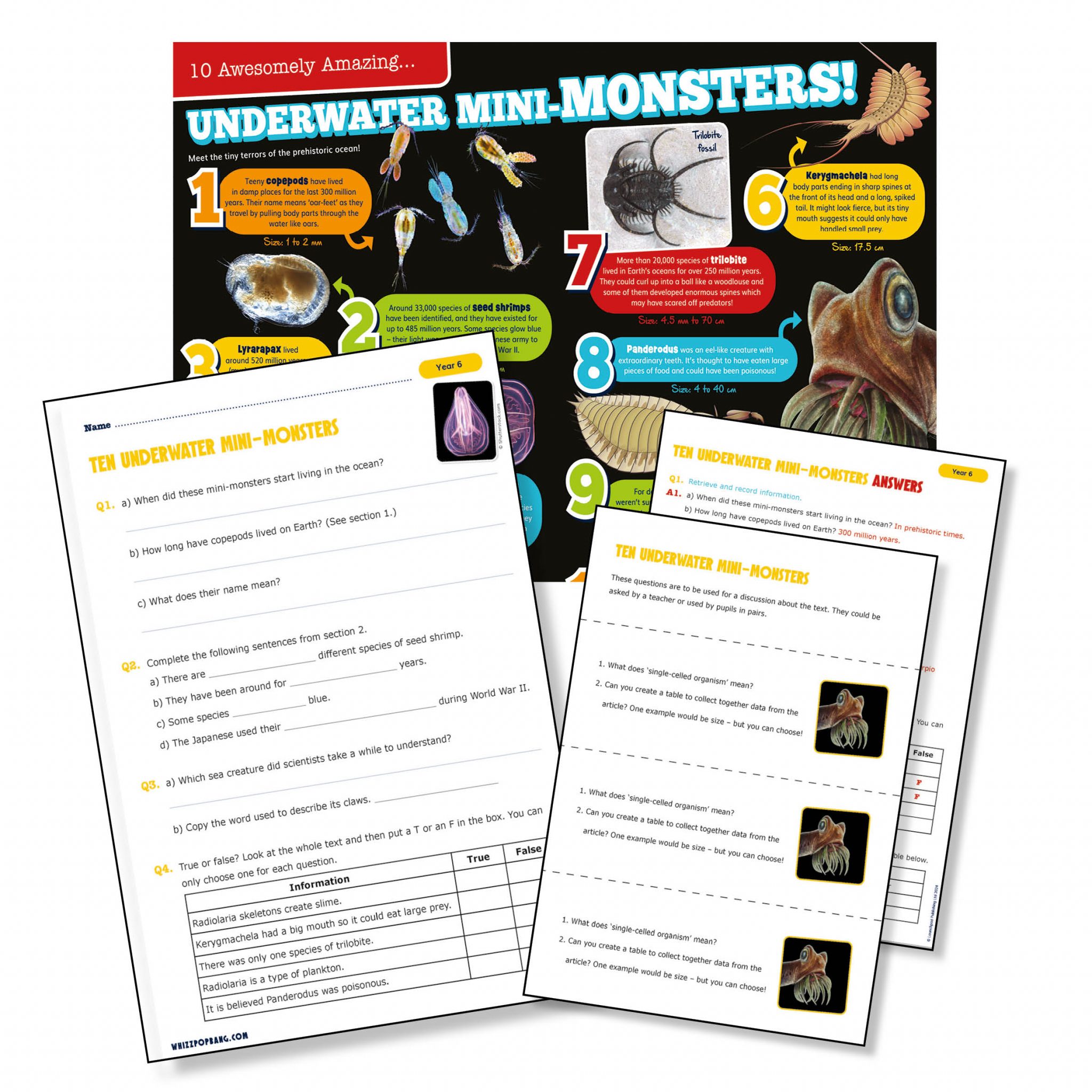 Teaching Evolution and Inheritance in year 6 – Whizz Pop Bang Blog