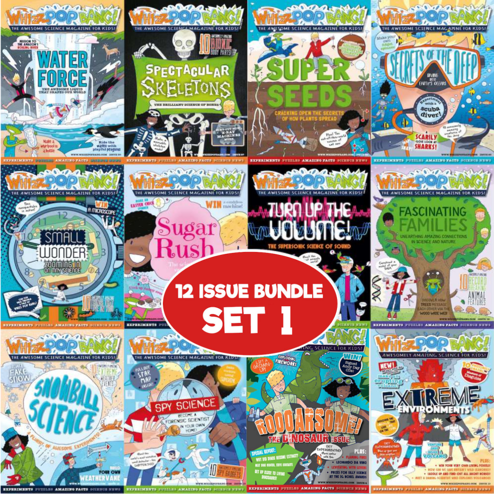 12 issue bundle set 1 - OUT OF STOCK - do not purchase: Whizz Pop Bang ...