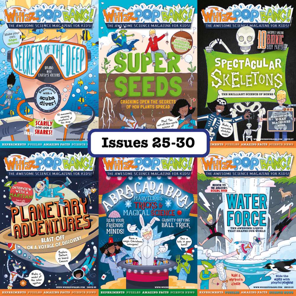 Issues 25 to 30 - OUT OF STOCK - do not purchase: Whizz Pop Bang ...
