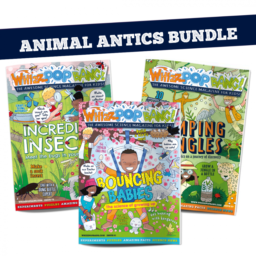 Bundle about animals and their habitat.