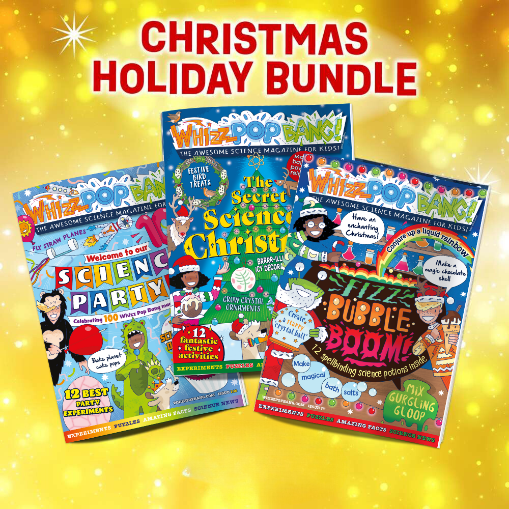 Christmas Holiday Bundle
