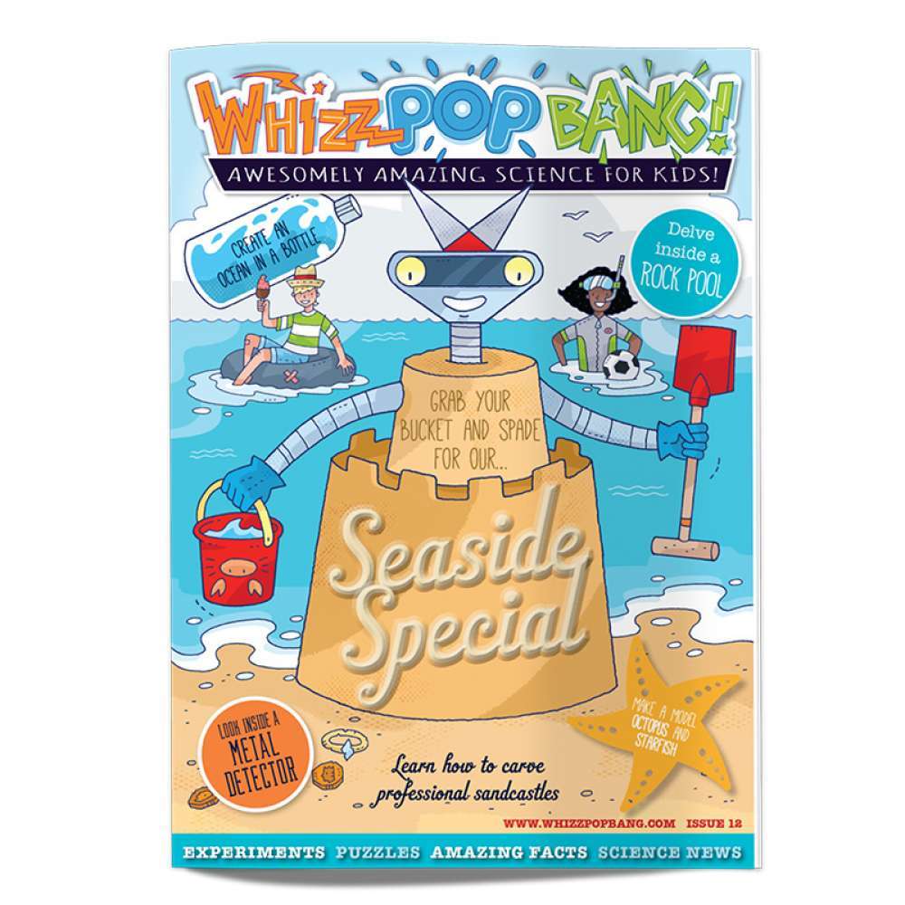 Six copies of Issue 12 - OUT OF STOCK - do not purchase: Whizz Pop Bang ...