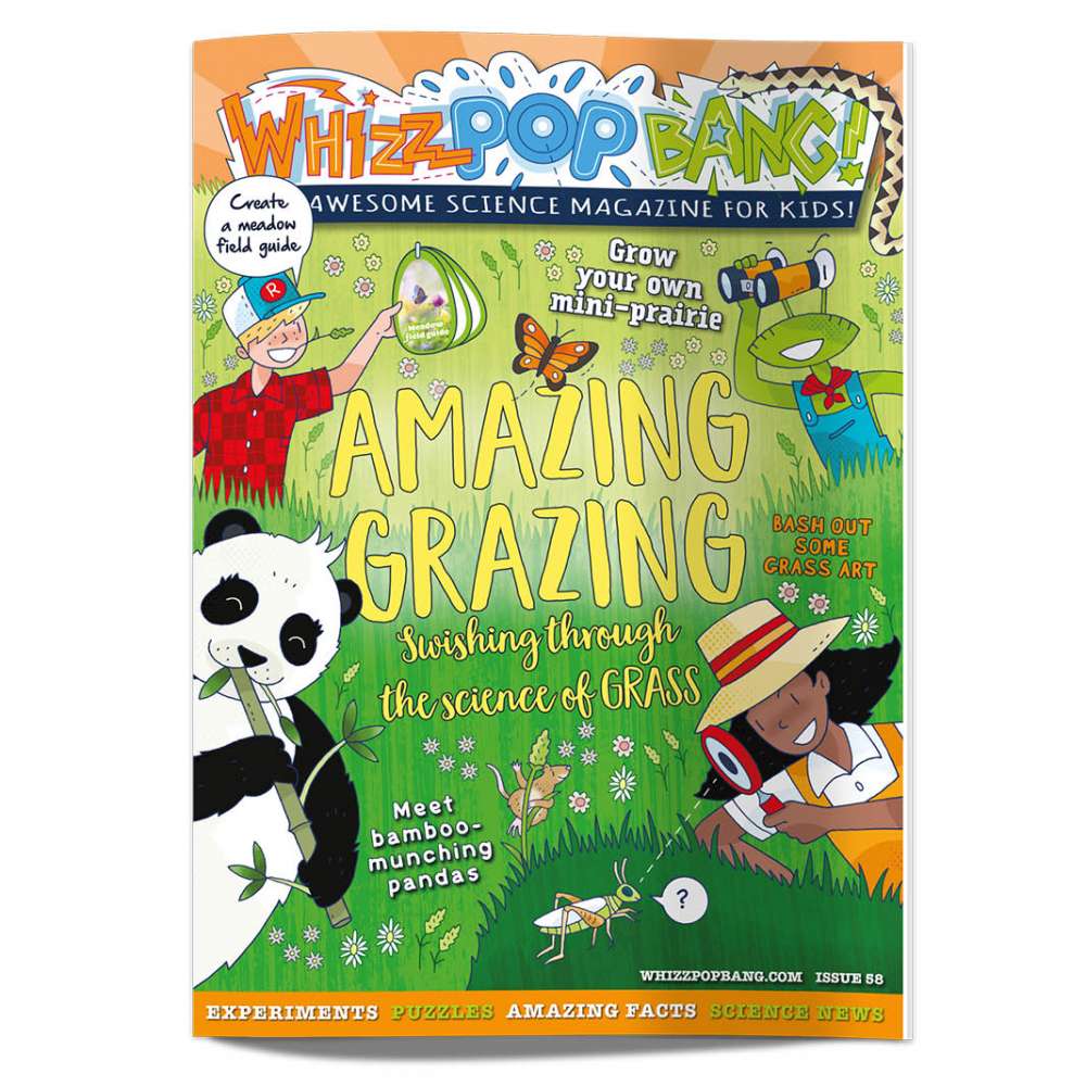 Science Magazine For Kids About Grass