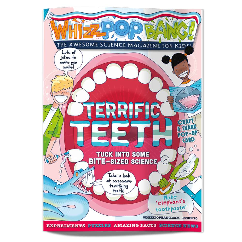Science Magazine For Kids About Teeth