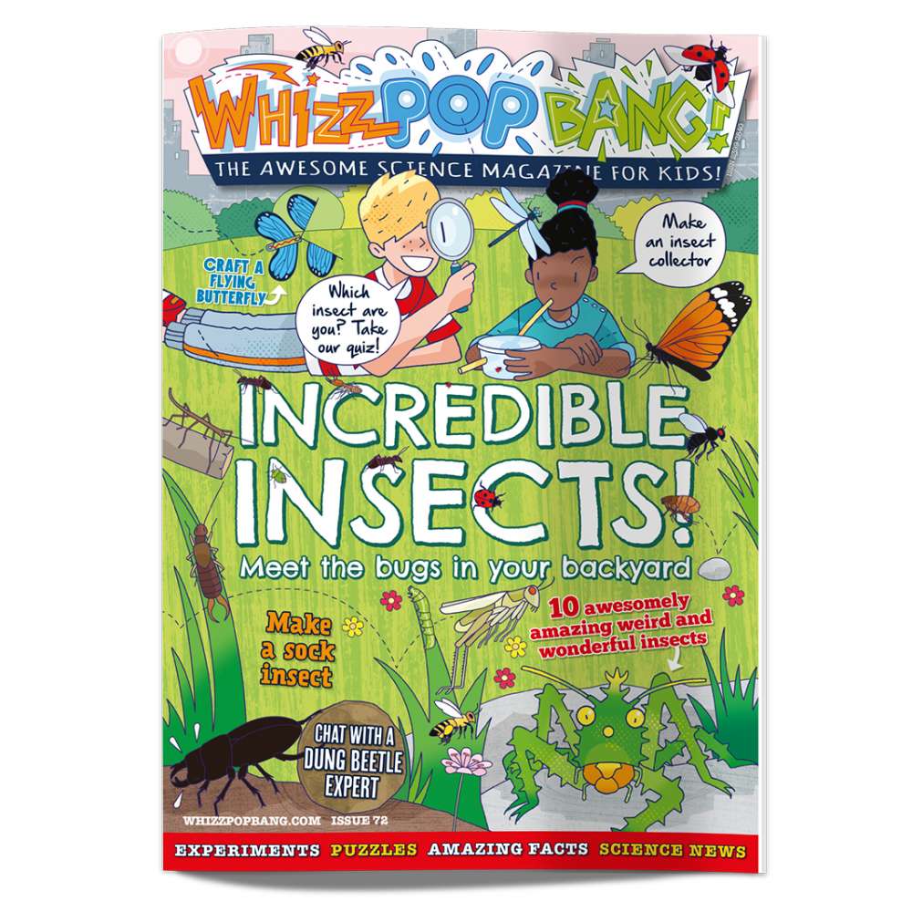 Science Magazine For Kids About Insects