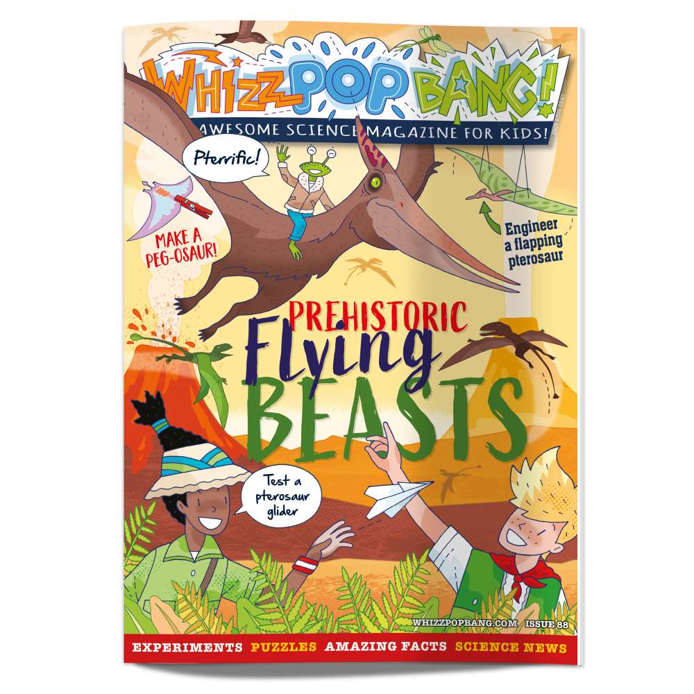 Science Magazine For Kids, Flying Beasts Edition