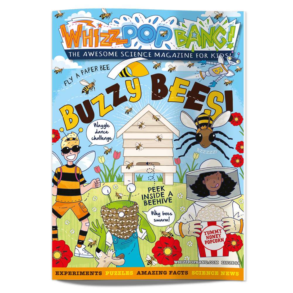 Science Magazine For Kids, BUZZY BEES Edition