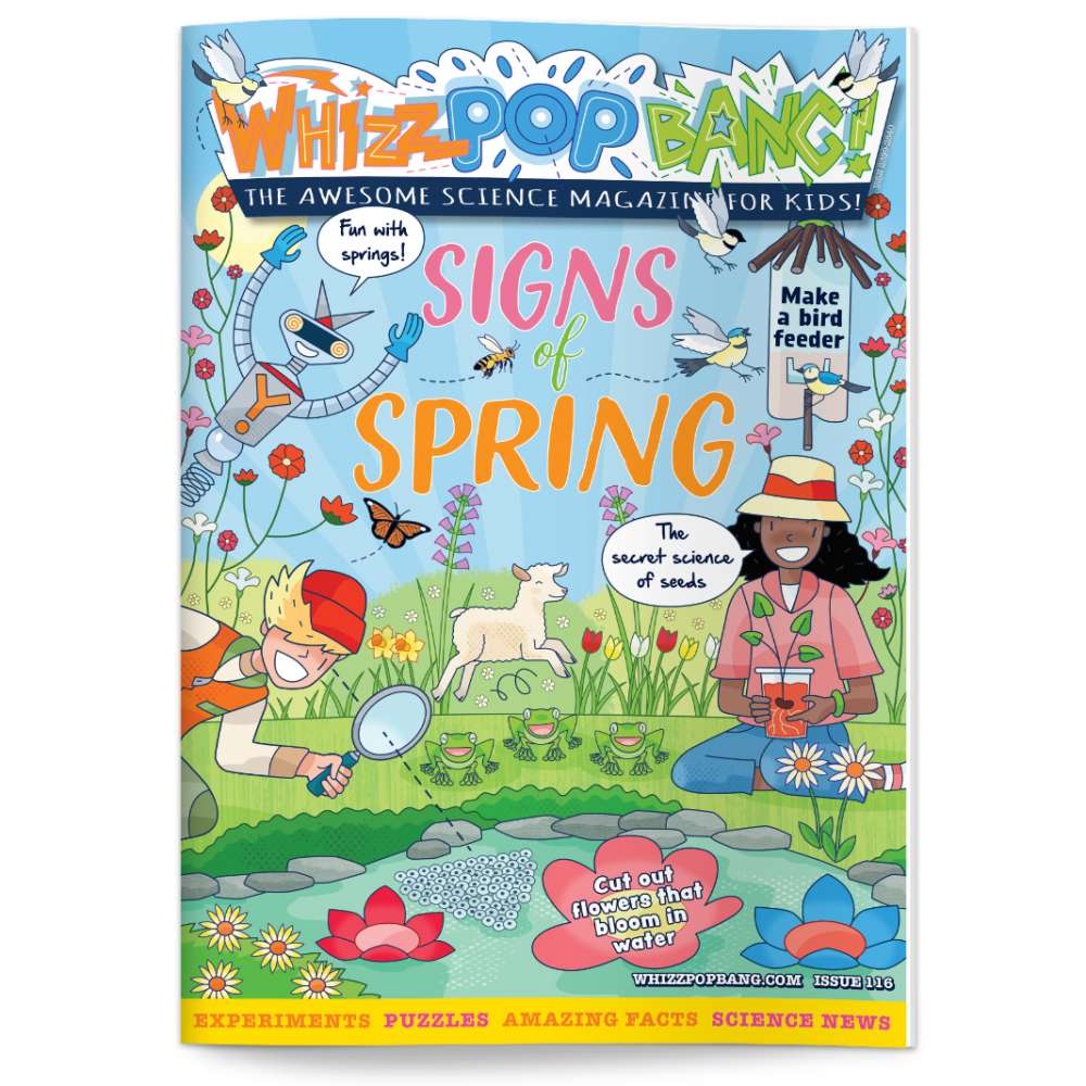 Spring Science Fun – Seeds, Springs & Blooming Flowers | Whizz Pop Bang