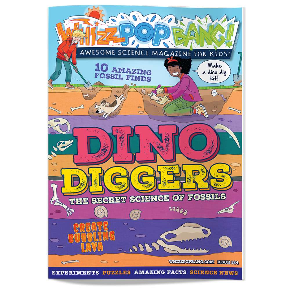 Whizz Pop Bang Issue 124: Dino Diggers - Dinosaurs, Fossils ...